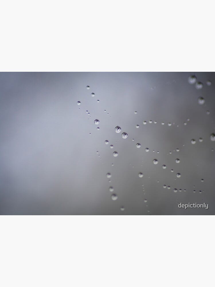 "Spiderweb String of Jewels v5.0" Sticker for Sale by depictionly ...