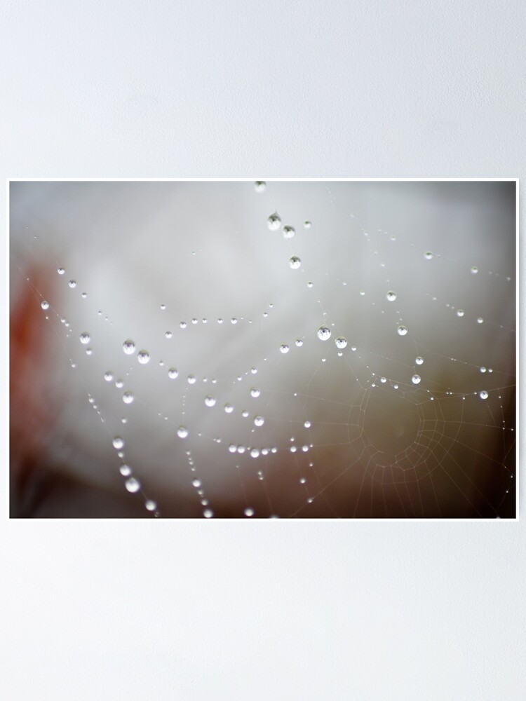 "Spiderweb String of Jewels v6.0" Poster for Sale by depictionly ...