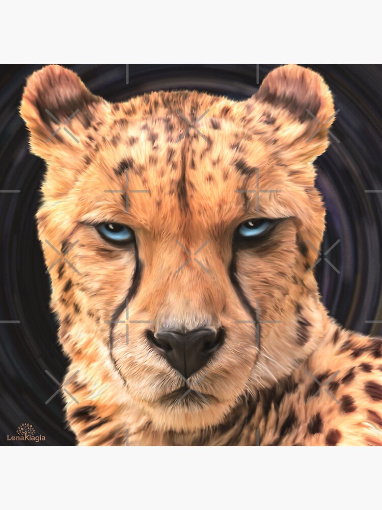 "Angry cheetah | A cheetah is protecting its territory" Sticker for ...