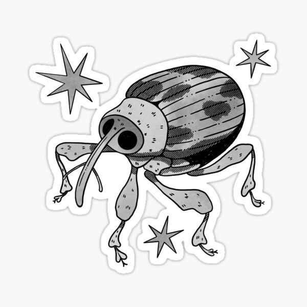 "Weevil" Sticker for Sale by VaguelyOriginal | Redbubble