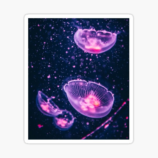 "Luminescent: Glow in the dark " Sticker for Sale by Owolale | Redbubble