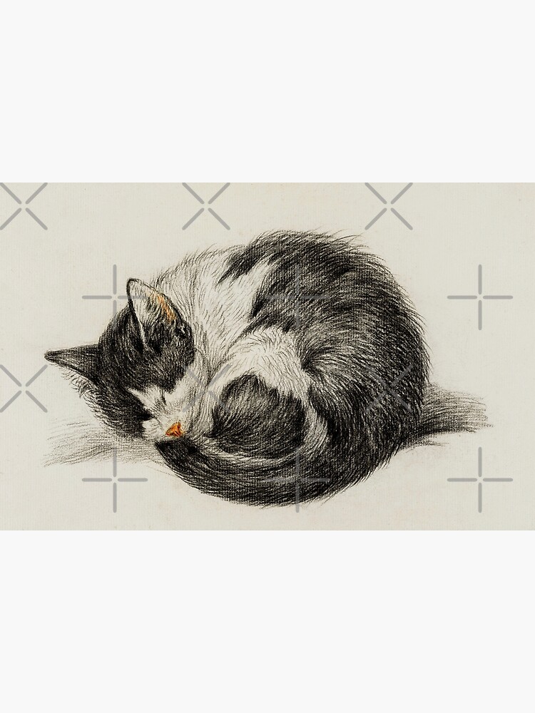 "Rolled up lying sleeping cat (1825) by Jean Bernard" Poster for Sale ...