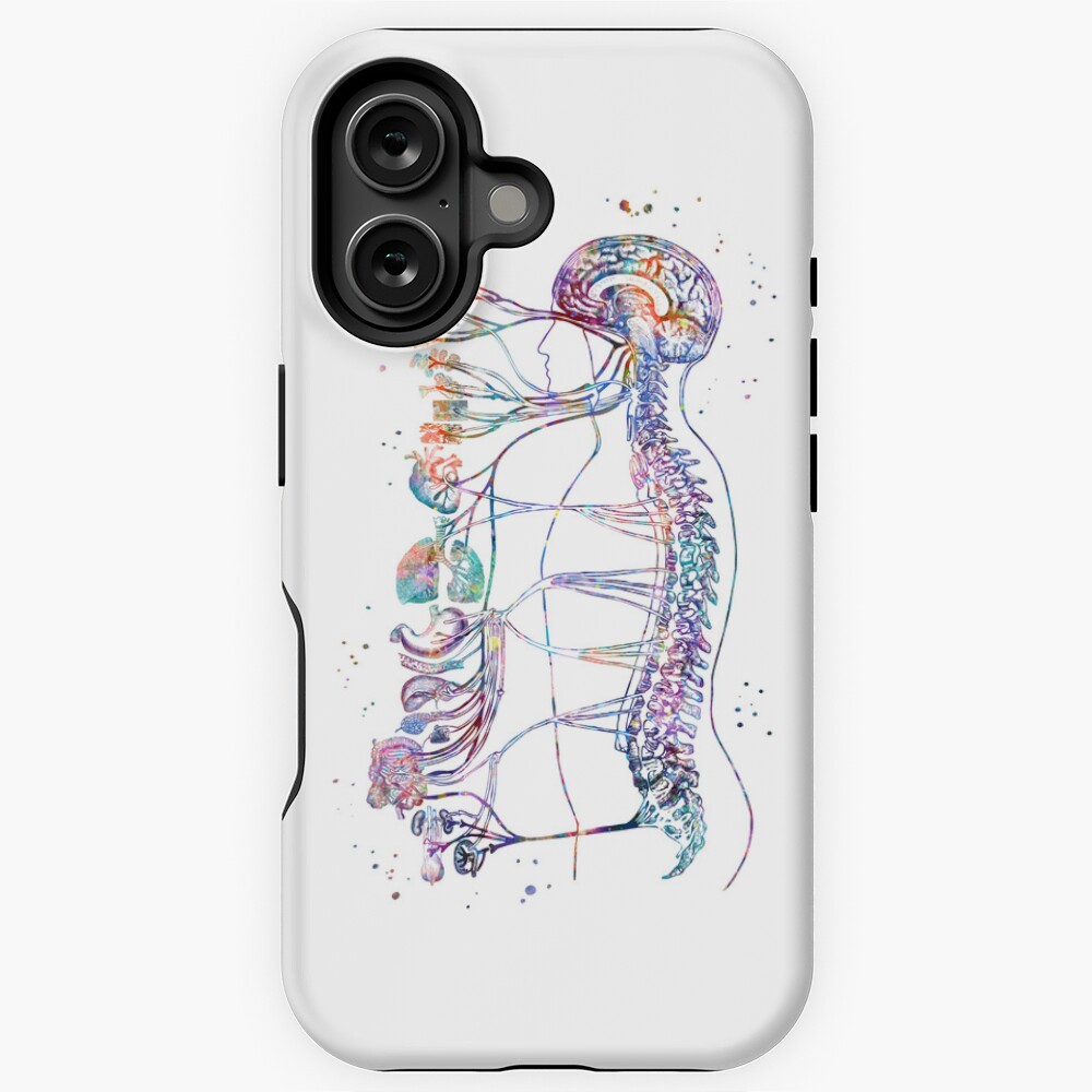 "Autonomic Nervous System" Sticker for Sale by EvasDreams | Redbubble