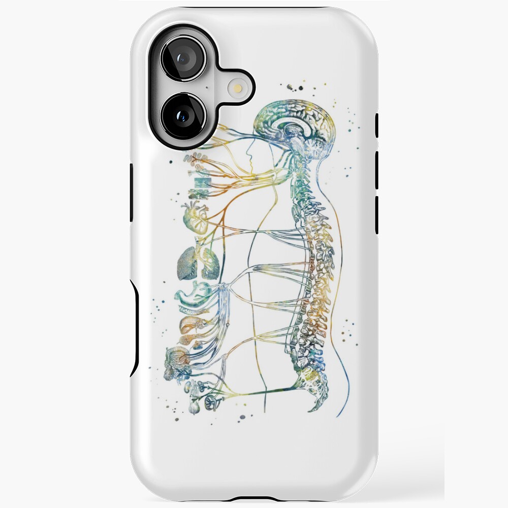 "Autonomic Nervous System" Sticker for Sale by EvasDreams | Redbubble