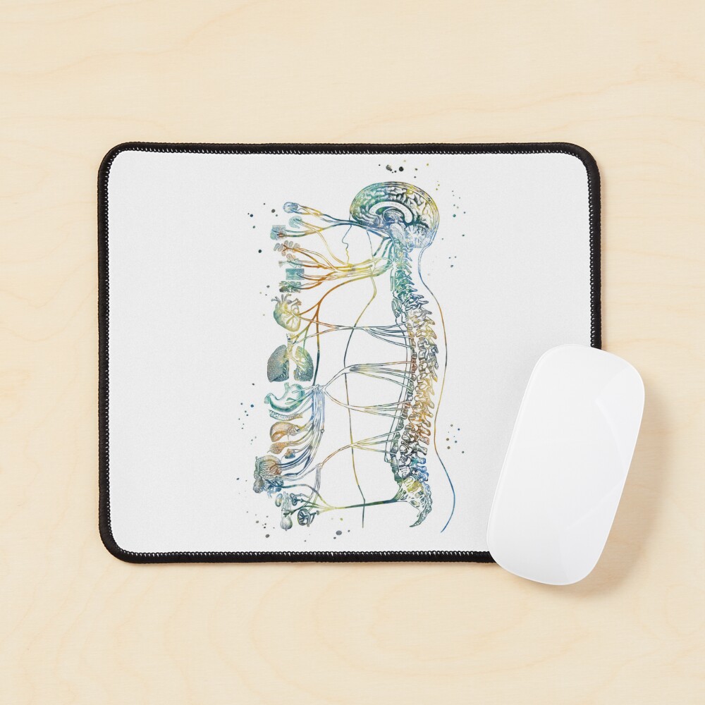 "Autonomic Nervous System" Sticker for Sale by EvasDreams | Redbubble