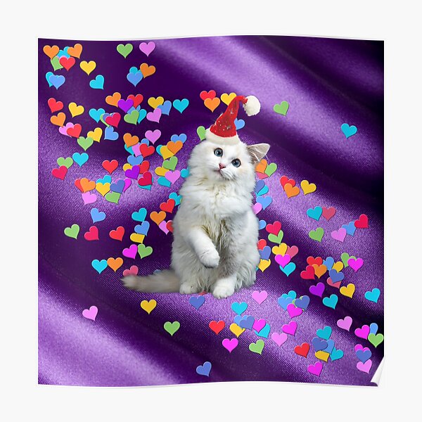 "Beautiful White Cat V3" Poster for Sale by CorneliusDesign | Redbubble