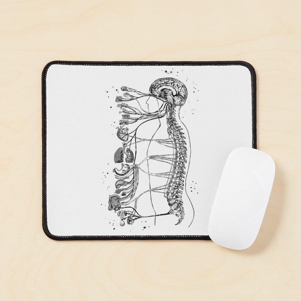 "Autonomic Nervous System" Poster for Sale by EvasDreams | Redbubble