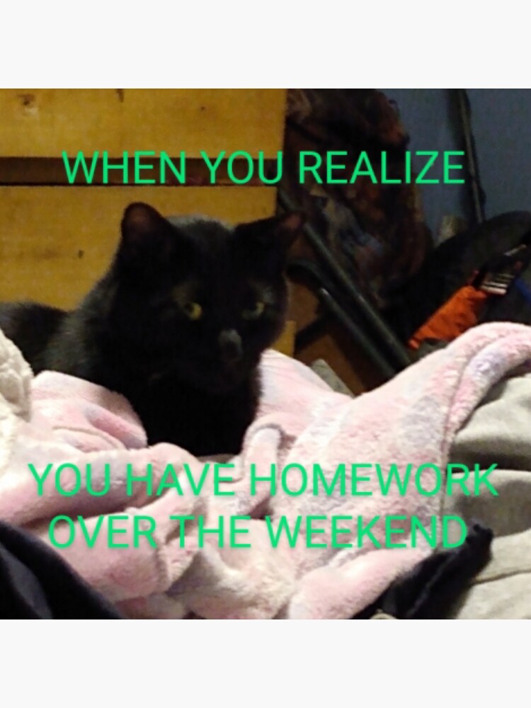 "Cat and Homework Meme" Sticker for Sale by EmsNovelties | Redbubble