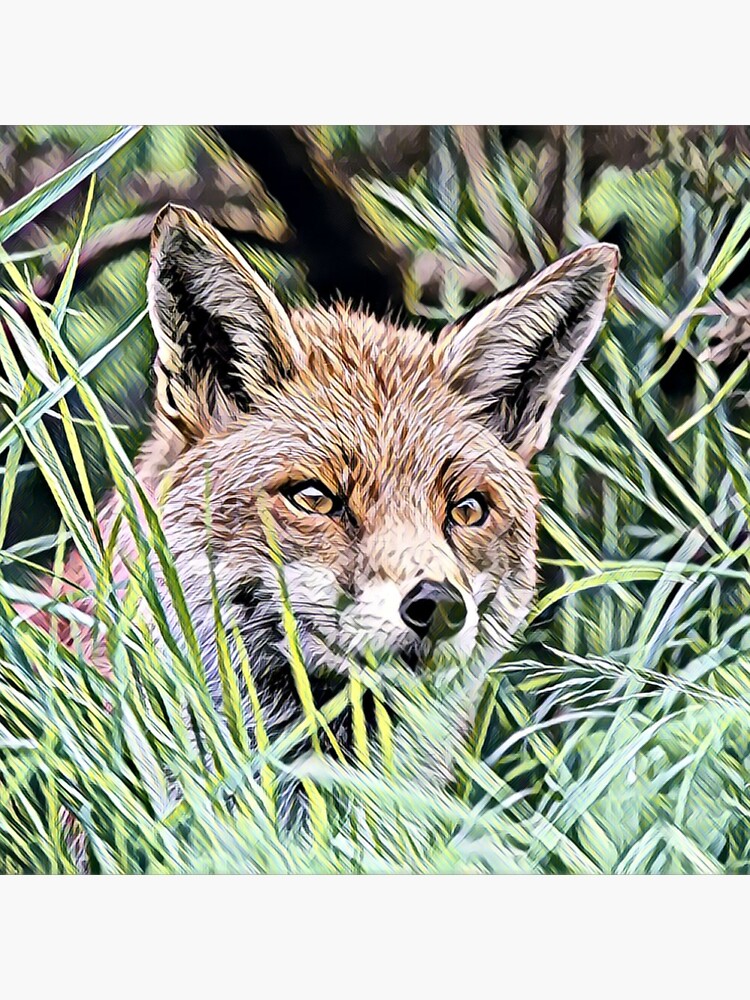 "Wild Fox photo in the nature draw effect " Sticker for Sale by ...