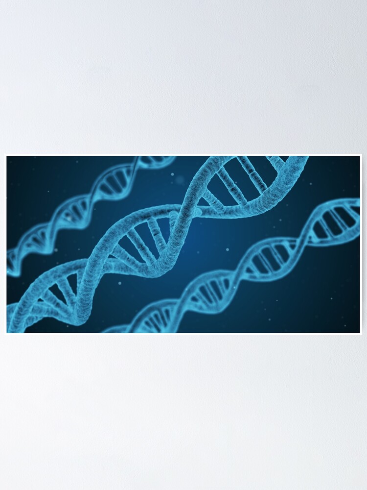 "DNA double helix string" Poster for Sale by drubdrub | Redbubble