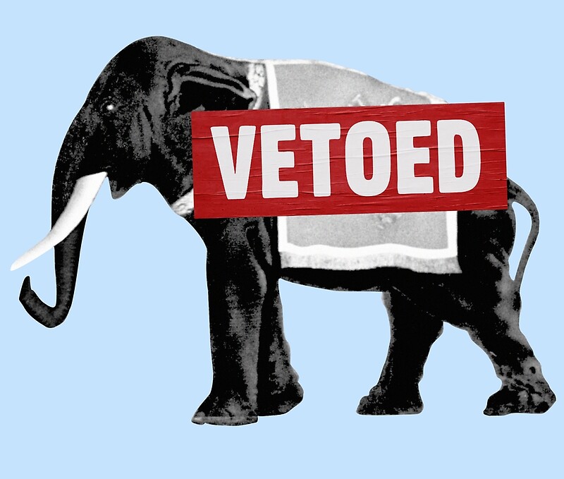 "VETOED" by Clayton Hickman | Redbubble