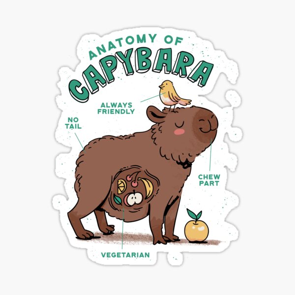 "Capybara Anatomy" Sticker for Sale by Shadowbyte91 | Redbubble
