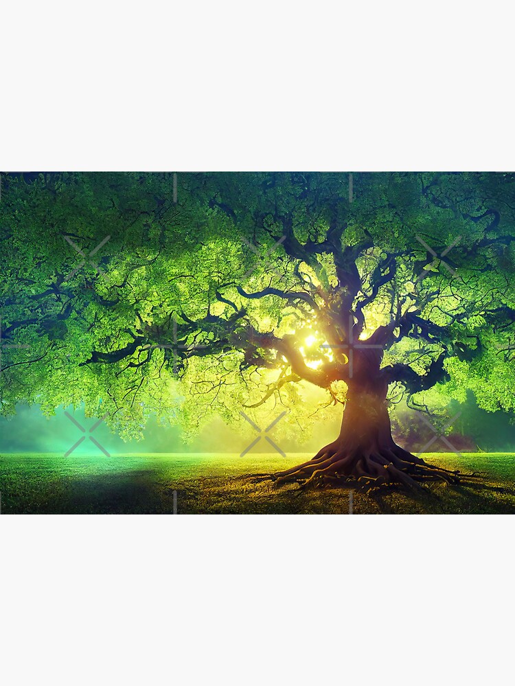 "Tree of Awakening" Sticker for Sale by OccultDreams | Redbubble