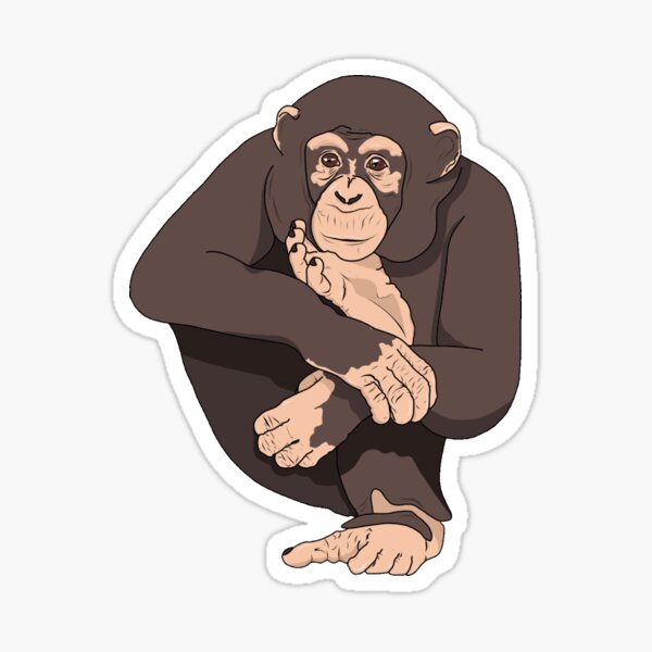 "Chimp" Sticker for Sale by mad-pirate | Redbubble