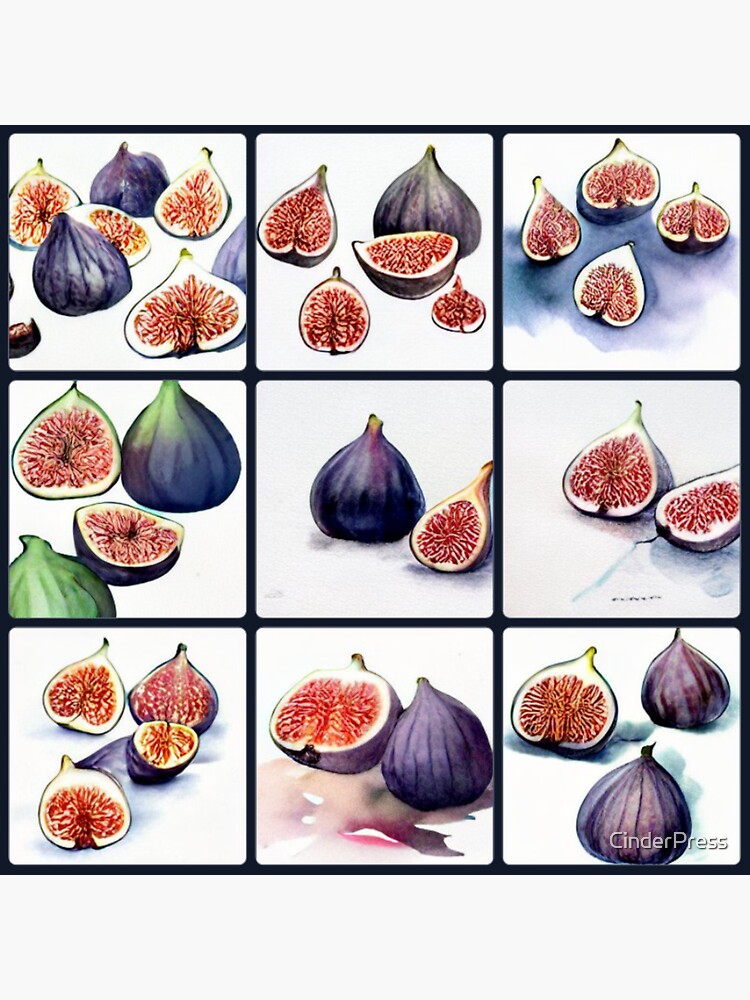 "Figs Art" Sticker for Sale by CinderPress | Redbubble