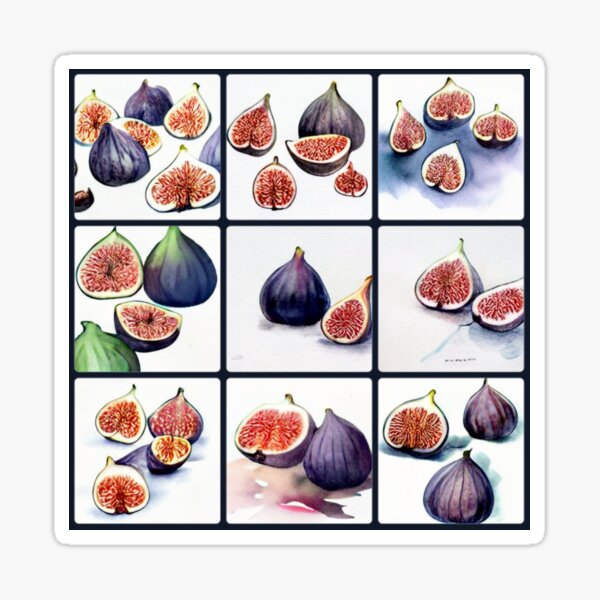 "Figs Art" Sticker for Sale by CinderPress | Redbubble