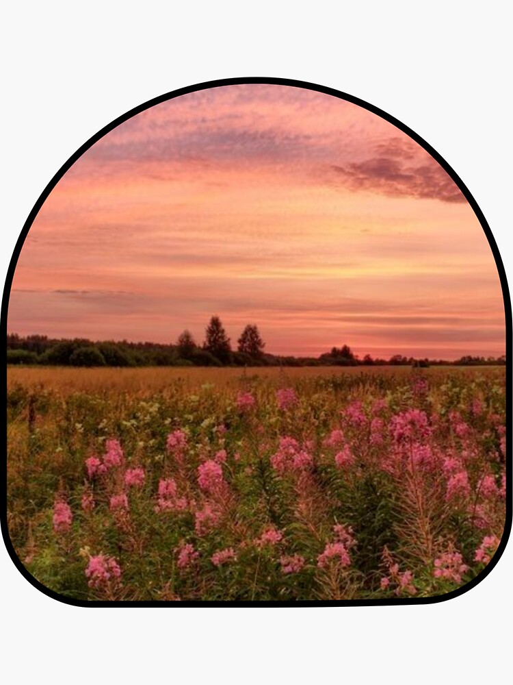 "Beautiful nature scenery" Sticker for Sale by Nature0Stickers | Redbubble