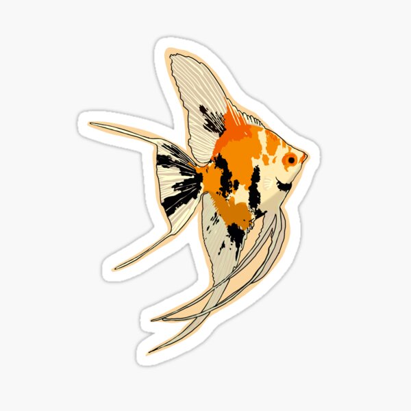 "Koi angelfish sticker" Sticker for Sale by lucijay | Redbubble