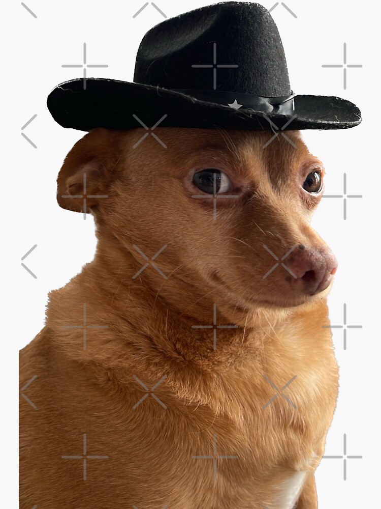 "Rootin Tootin Ched" Sticker for Sale by Cheddariniii | Redbubble