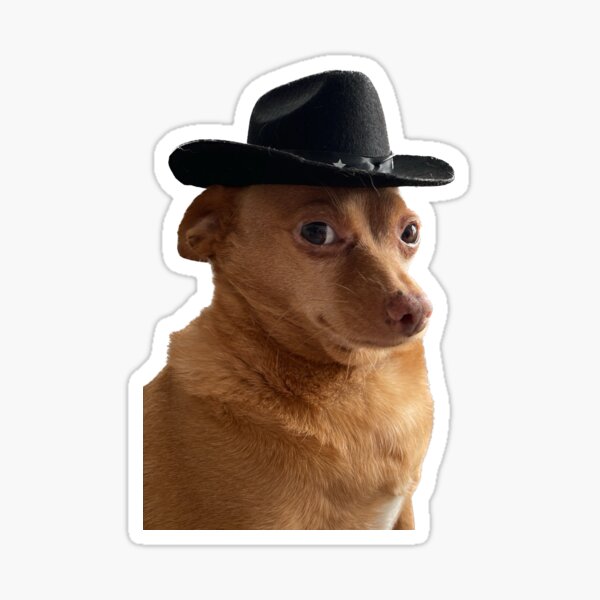 Cheddariniii Shop | Redbubble