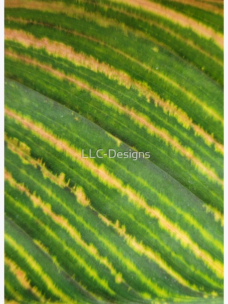 "Breath of fresh air " Sticker for Sale by LLC-Designs | Redbubble