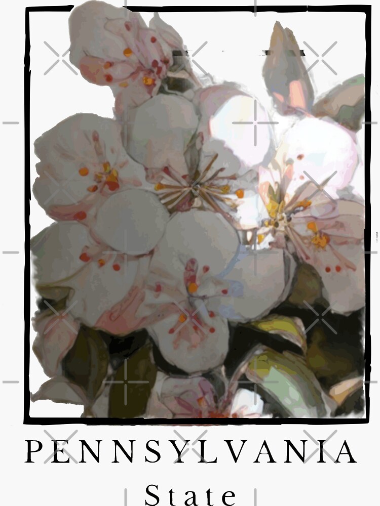 "Watercolor Pennsylvania State Mountain-laurel" Sticker for Sale by ...