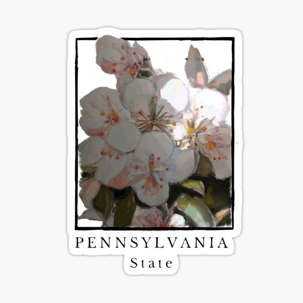 "Watercolor Pennsylvania State Mountain-laurel" Sticker for Sale by ...
