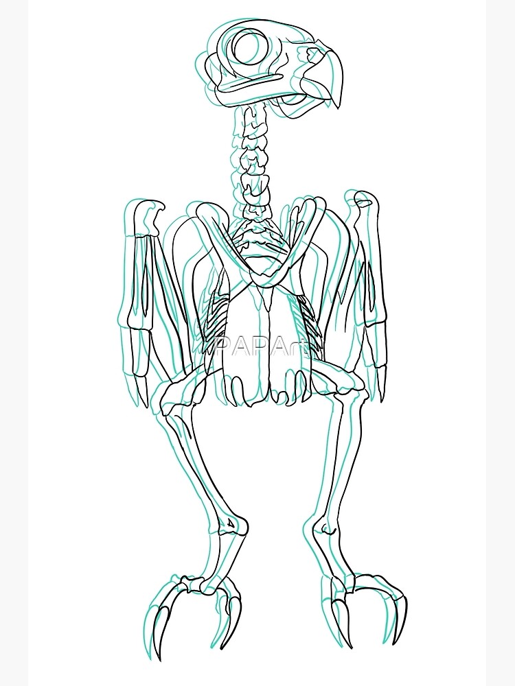 Lienzo «esqueleto del búho» de PAPArt | Redbubble