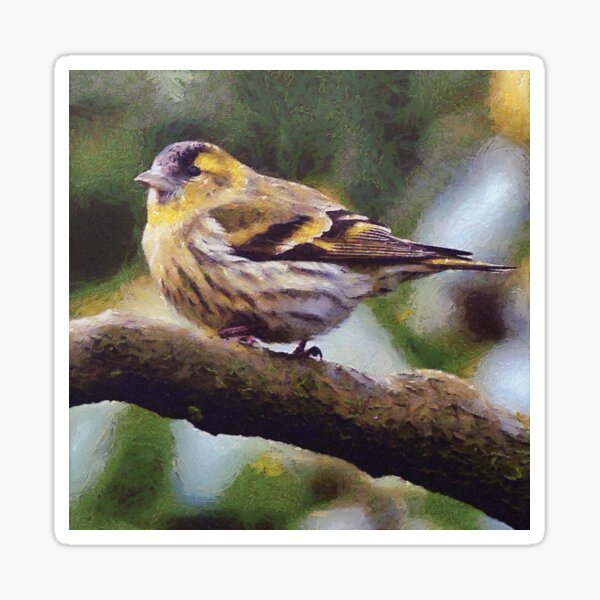 "Cape Canary painting" Sticker for Sale by ryanrad7 | Redbubble