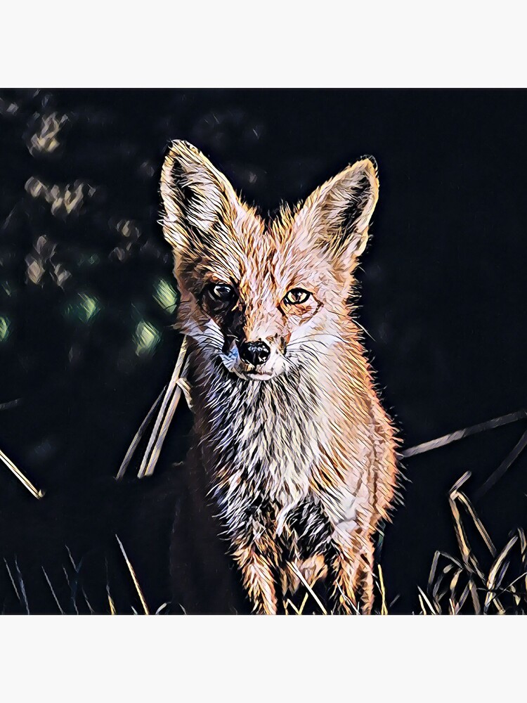 "Wild Fox front Photo with a Draw Effect" Sticker for Sale by ...
