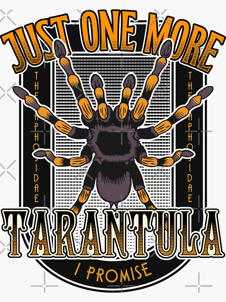 "Funny Spider Just One More Tarantula Owner Gift Spider" Sticker for ...