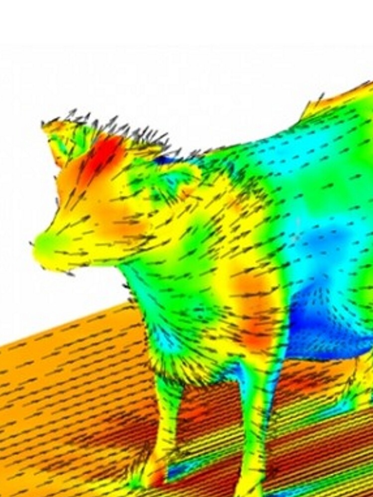 How Aerodynamic Is A Cow