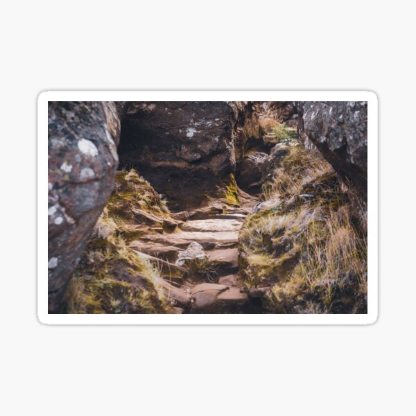 "Pathways" Sticker for Sale by Brosku | Redbubble