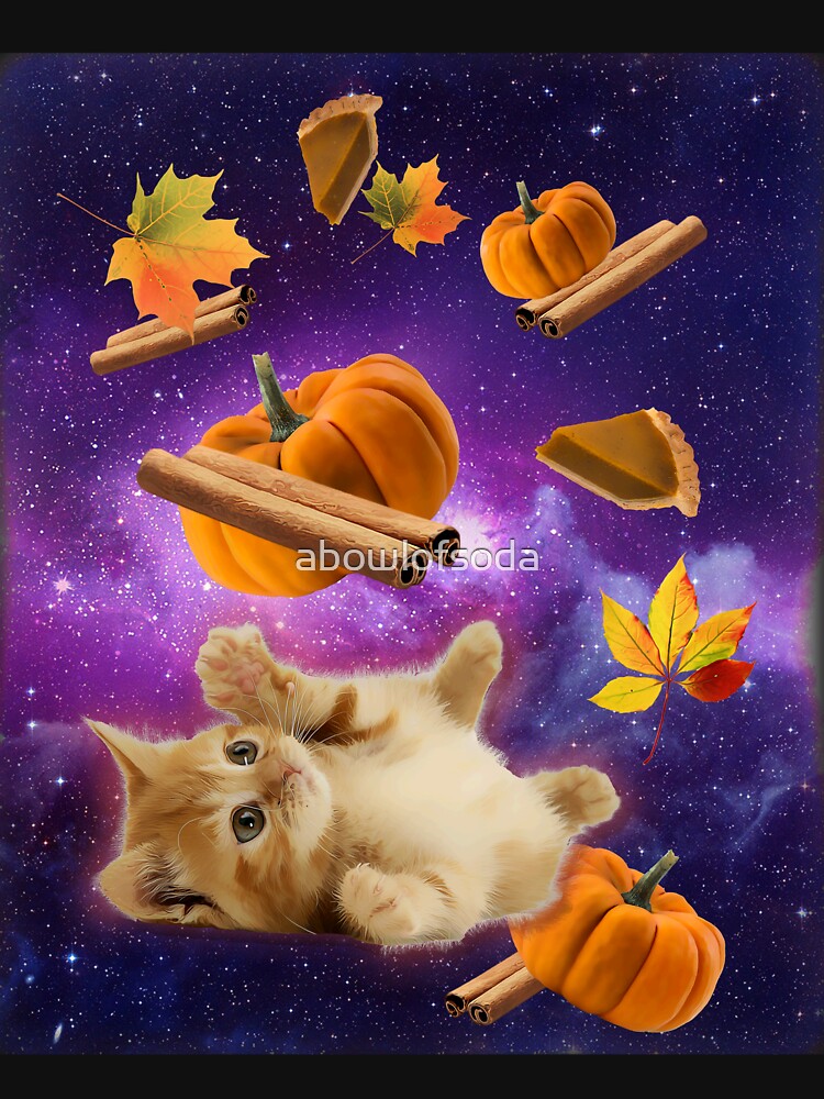 "Pumpkin Spice Cat Meme" T-shirt by abowlofsoda | Redbubble