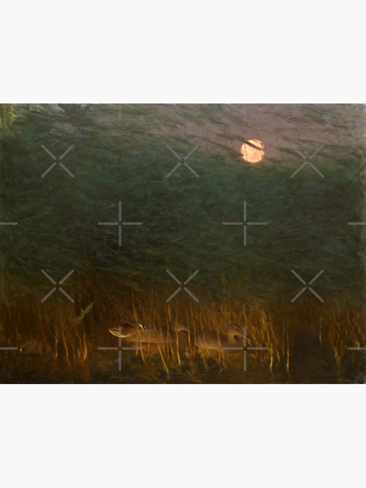 "Nocturnal Mood with Wild Ducks" Sticker for Sale by rimmatv | Redbubble