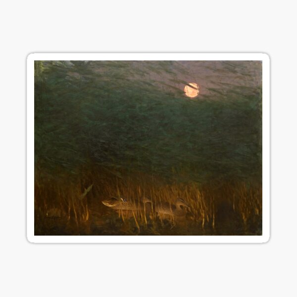 "Nocturnal Mood with Wild Ducks" Sticker for Sale by rimmatv | Redbubble