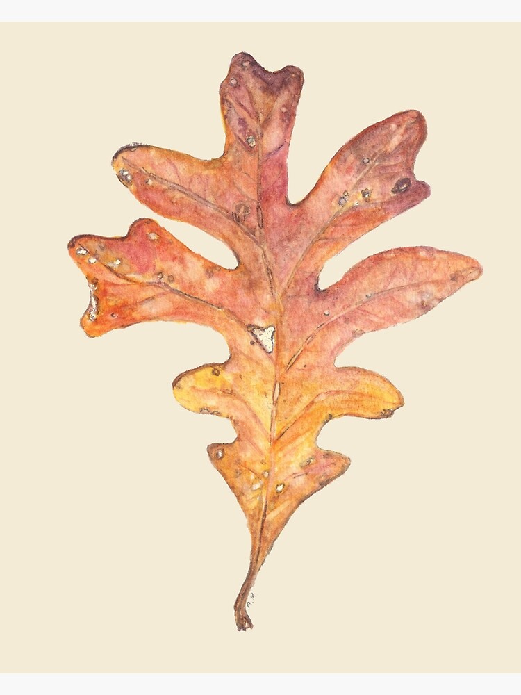 "Tall Oak Leaf" Poster for Sale by anniem49 | Redbubble