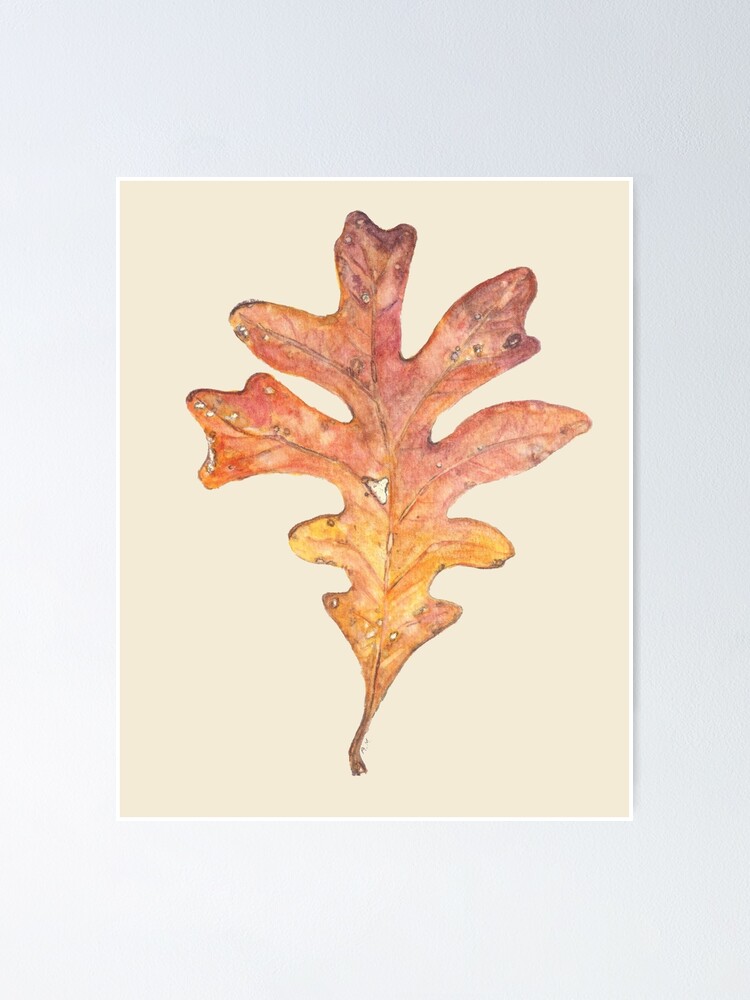 "Tall Oak Leaf" Poster for Sale by anniem49 | Redbubble