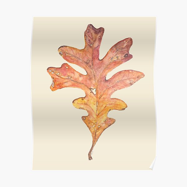 "Tall Oak Leaf" Poster for Sale by anniem49 | Redbubble