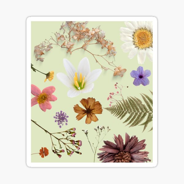 "Beautiful Botany Collage - Mint Green" Sticker for Sale by madiwestdal ...