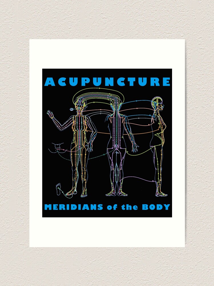 "Meridians of the body: meridian chart, 14 meridians of chinese ...