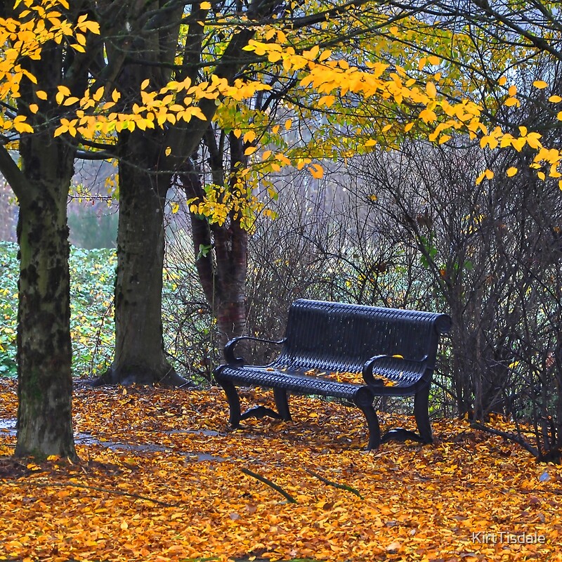 "Fall Park Bench" by KirtTisdale | Redbubble