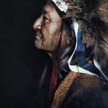 "Two Moons, one of the Cheyenne chiefs who took part in the Battle of ...