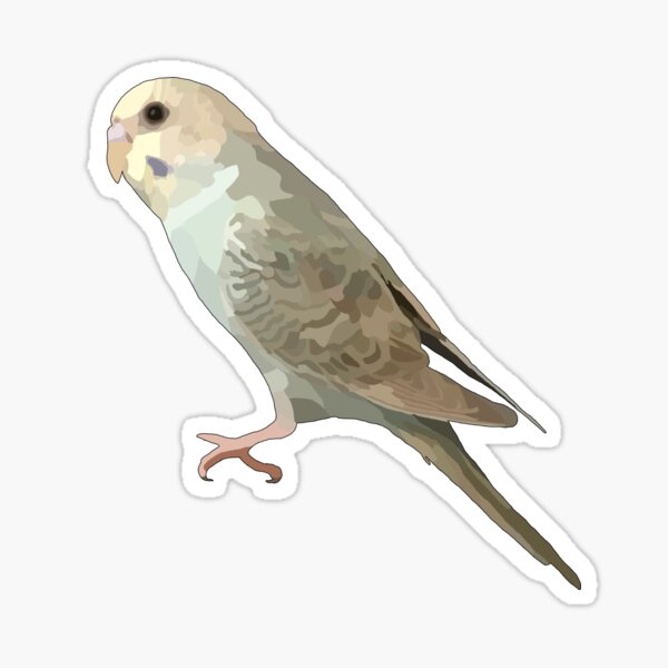 "Light Blue and Gray Beautiful Budgie/Parakeet" Sticker for Sale by ...