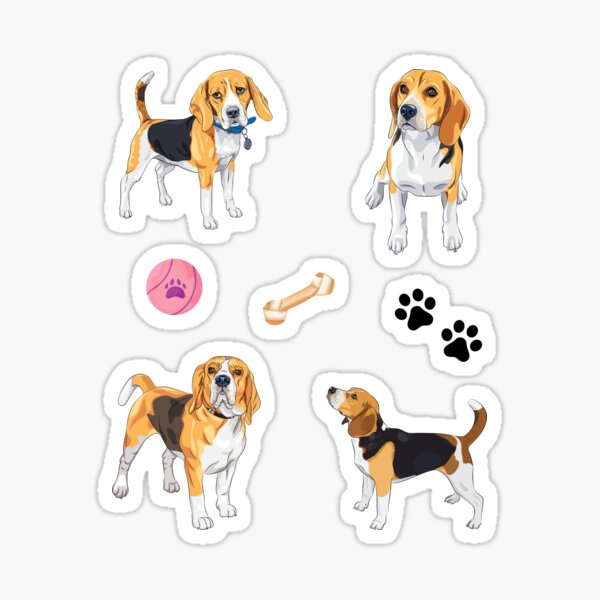 "The Beagles Set 2" Sticker for Sale by StckeeS1tuation | Redbubble