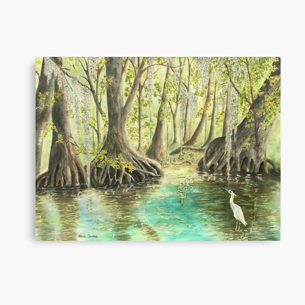 "Florida Spring" Canvas Print for Sale by ArtbyDedeConrad | Redbubble