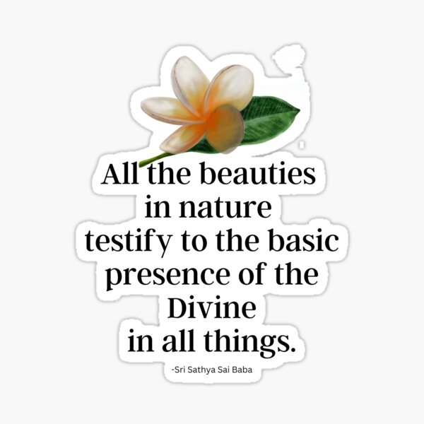 "Sathya Sai Quote / Divine In All Things / Insightful Phrase" Sticker ...
