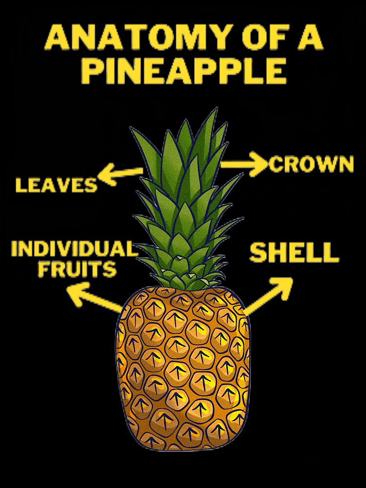 "Anatomy of a Pineapple " Art Print for Sale by adamajd | Redbubble