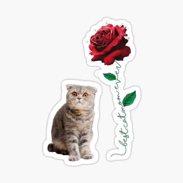 "The Best Mum Forever Red Rose Flower Grey Furry Cat" Sticker for Sale ...