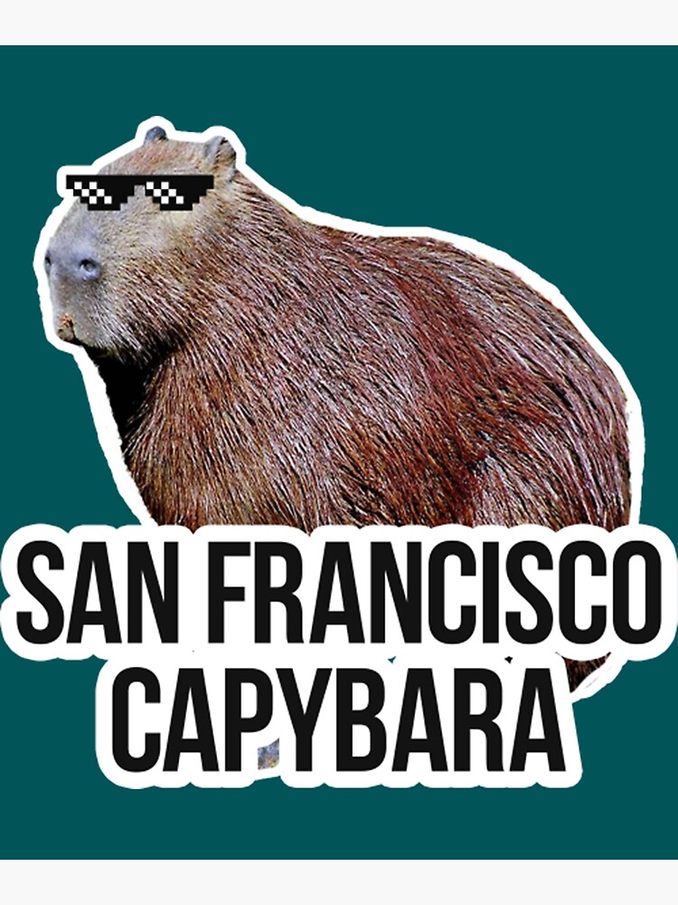 "San Francisco capybara meme" Art Print for Sale by RosalinaBorley ...